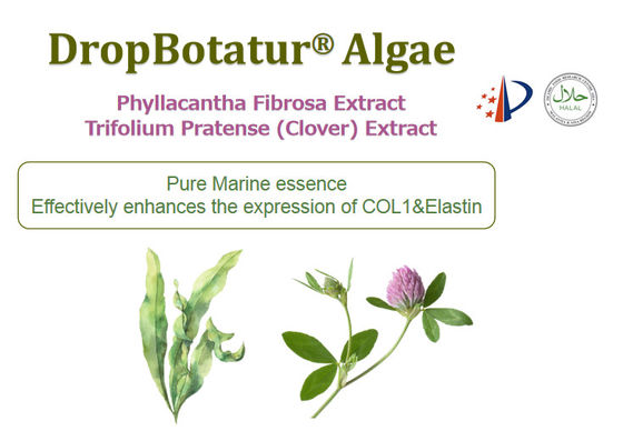 Raw Skin Care Ingredients factory, Buy good price Cosmetic Preservative ...